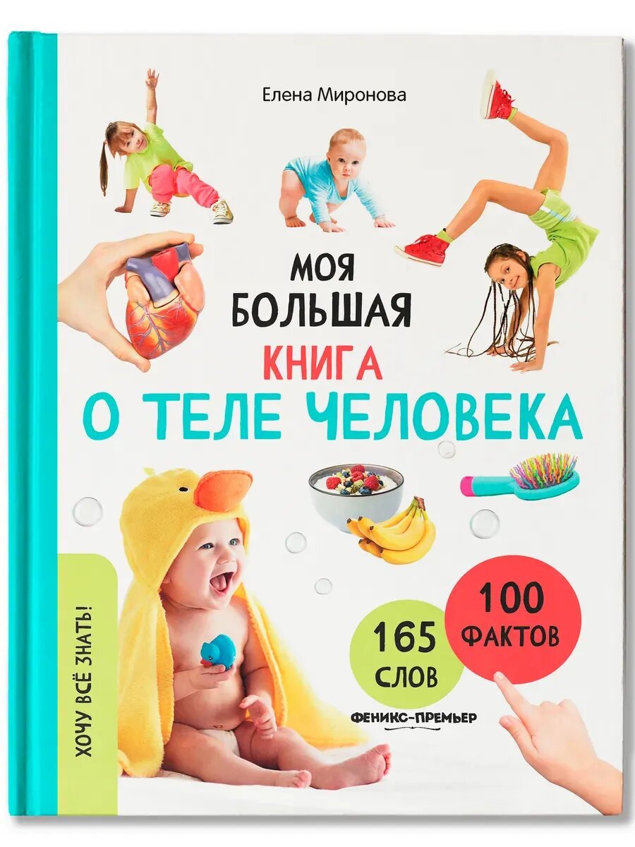 Елена Миронова. Моя большая книга о теле человека