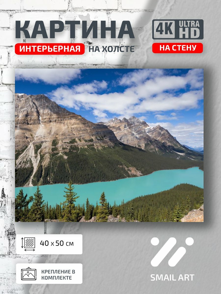 Картина на холсте интерьерная 40 на 50 на стену Горы Landscape для офиса пейзаж интерьер