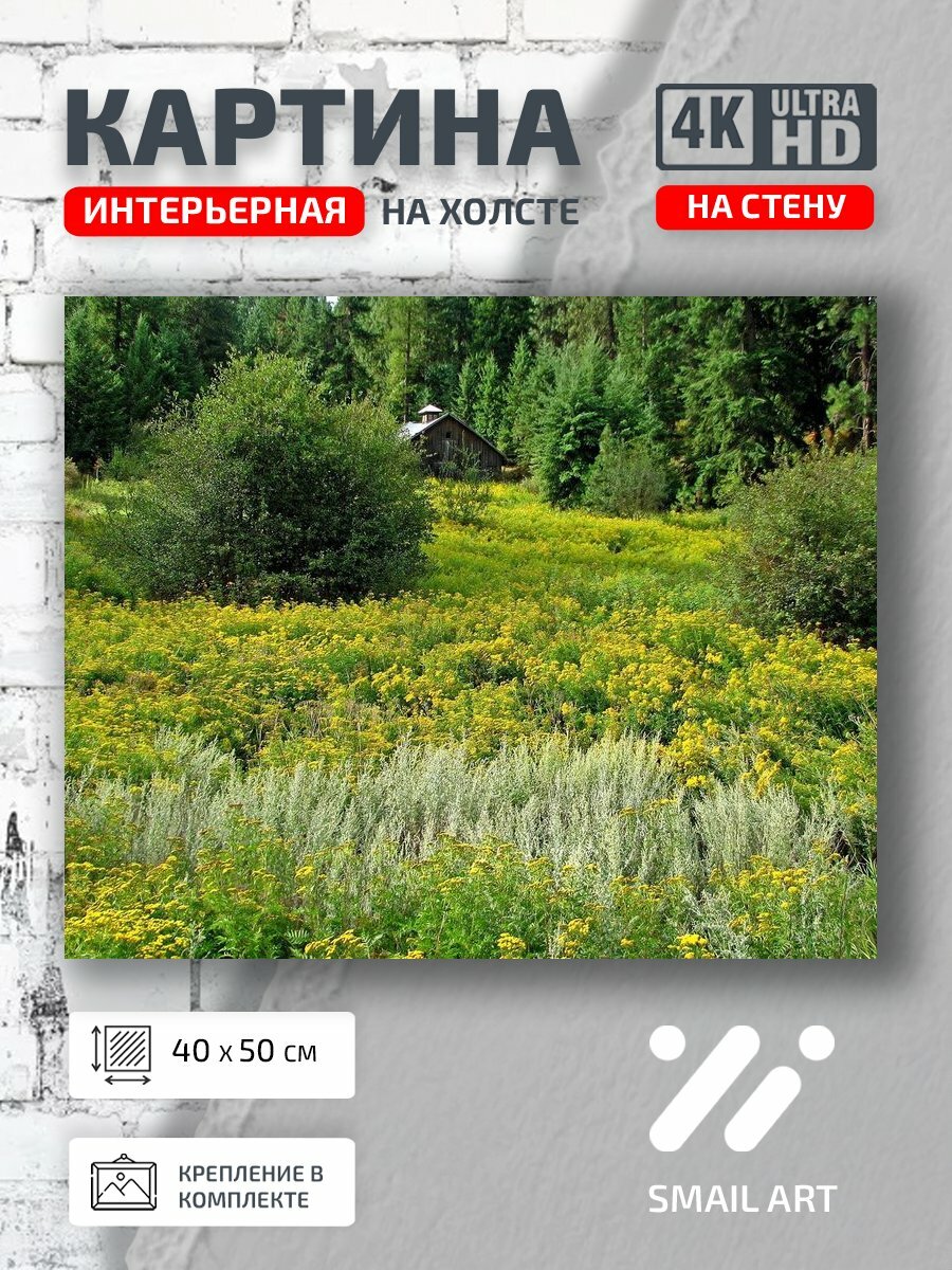 Картина на холсте интерьерная 40 на 50 на стену Лето Landscape для офиса пейзаж интерьер