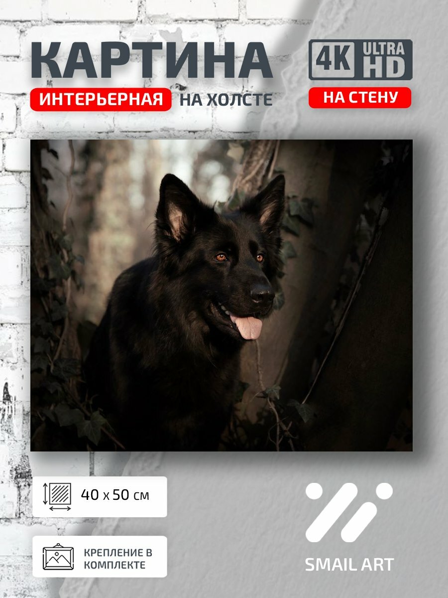 Картина на холсте интерьерная 40 на 50 на стену Черный Animal для кафе animal style декор