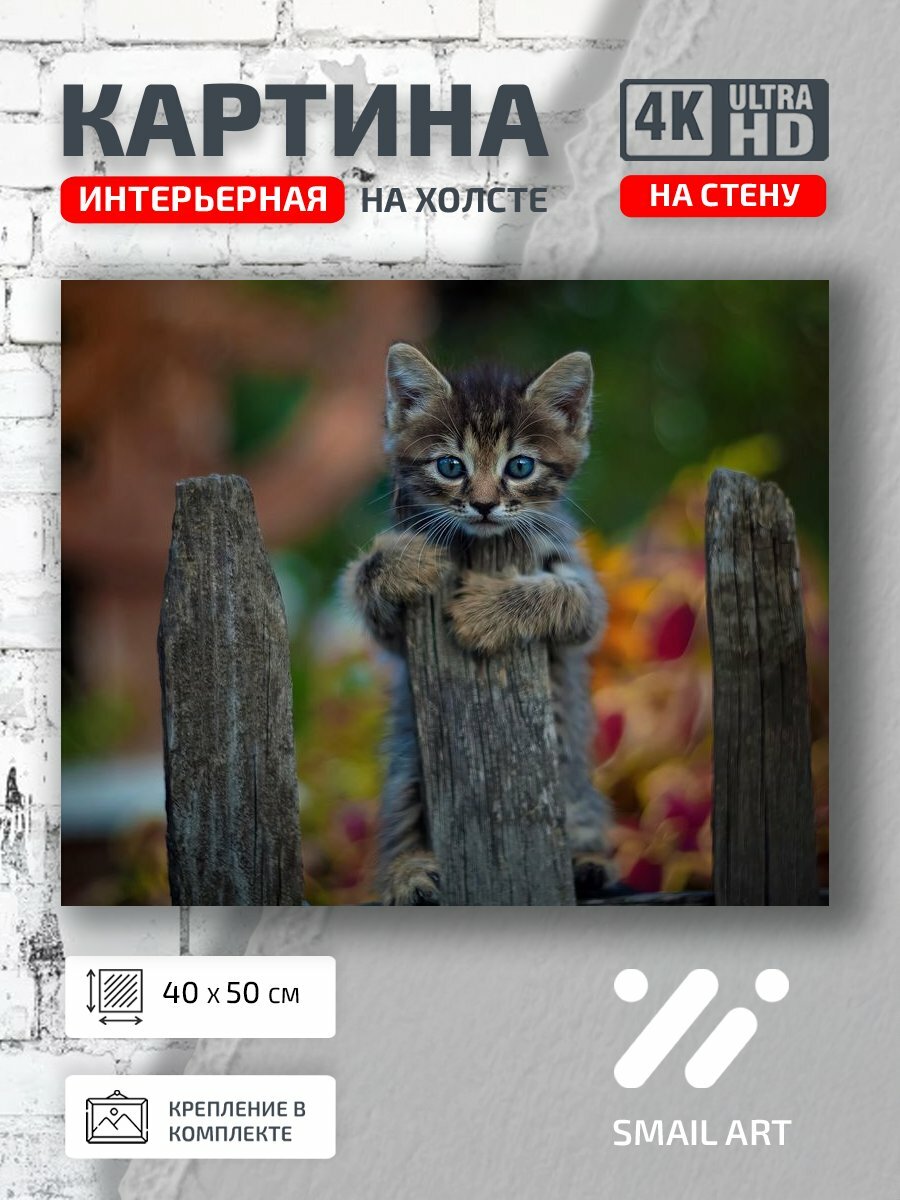Картина на холсте интерьерная 40 на 50 на стену Забор Animal для спальни animal style декор
