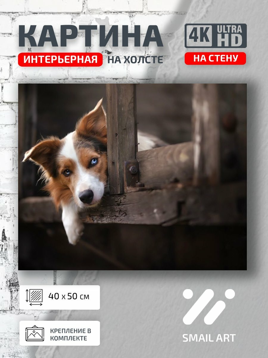 Картина на холсте интерьерная 40 на 50 на стену Взгляд Mood для гостиной атмосфера интерьер