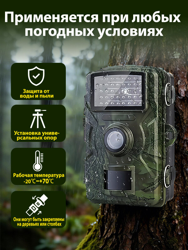 Фотоловушка