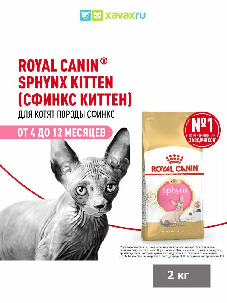 Сухой корм Royal Canin Sphynx Kitten для котят породы Сфинкс до 12 месяцев, 2 кг