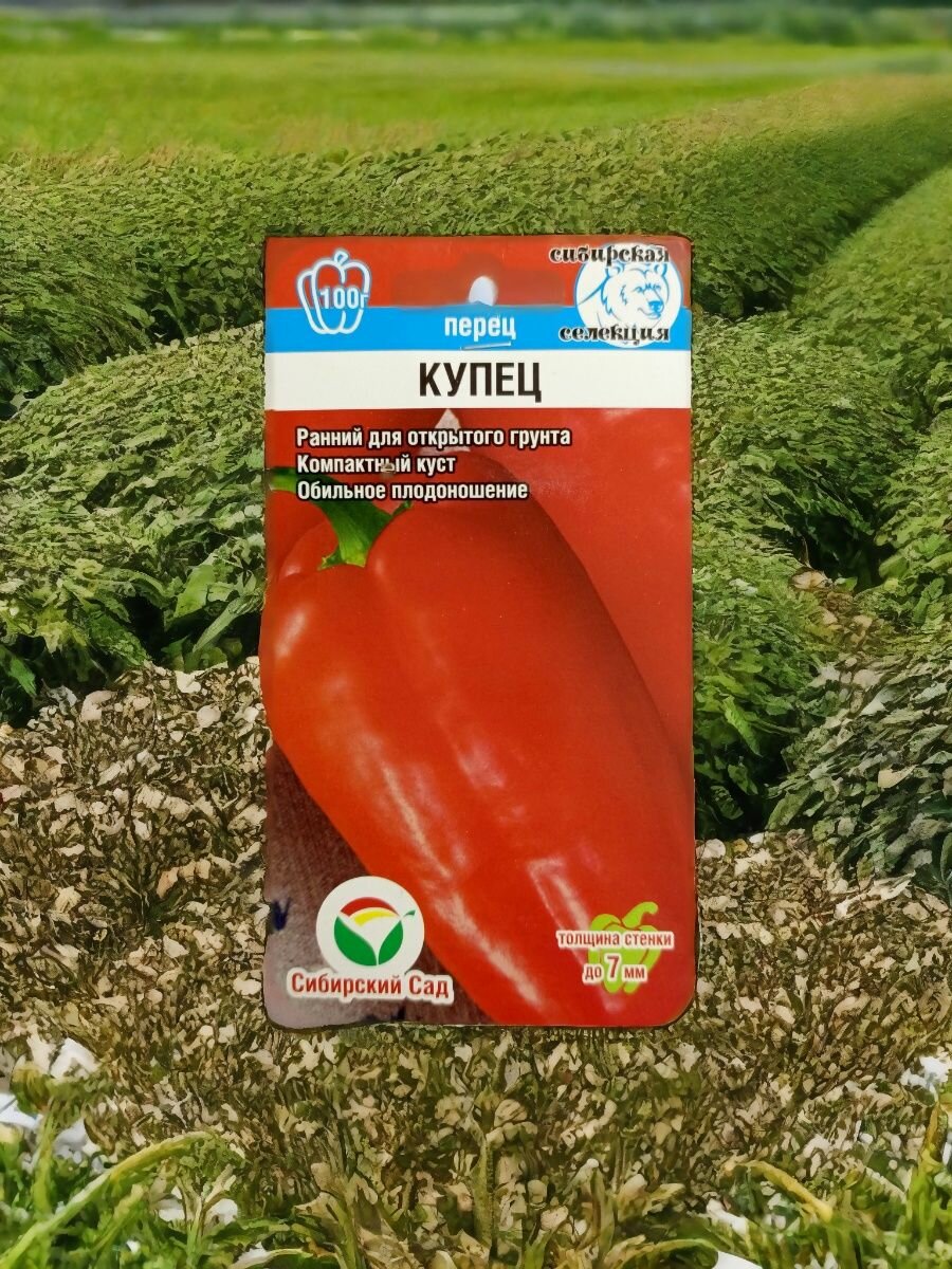 Семена сладкого перца Купец - раннеспелый сорт Западно-Сибирской селекции. Сибирский Сад.