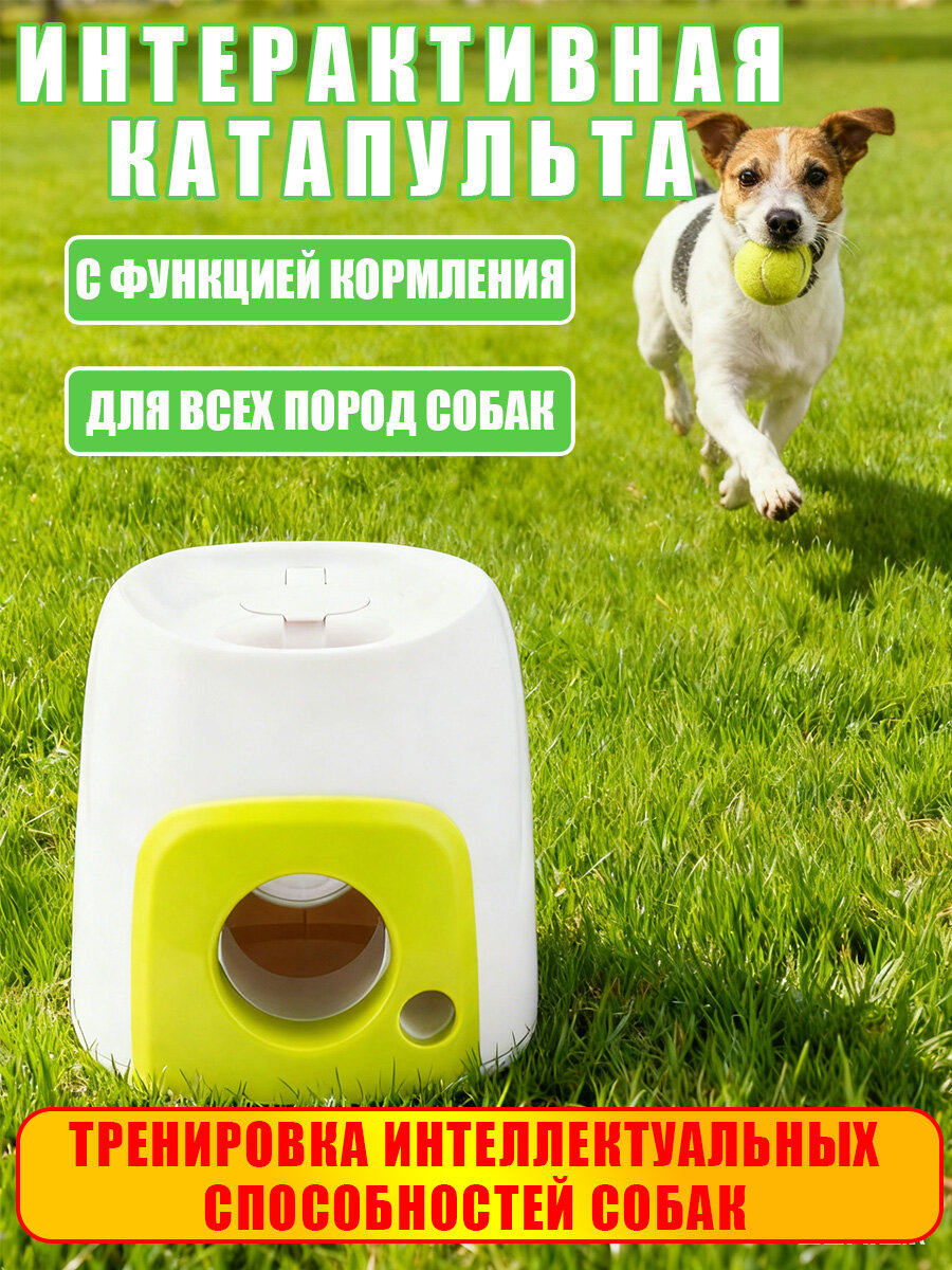 Катапульта мячей для собак интерактивная OZBERRY с 3 мячами