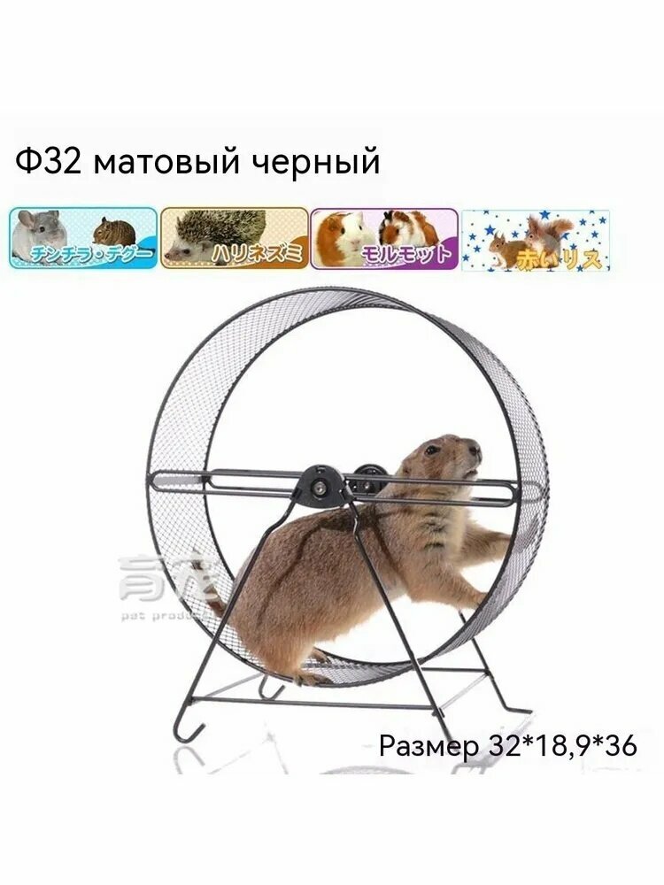 Бесшумное колесо для бега животных подходит для сурка, мешка с медом, белки-летяги, бельчонка, хомячка