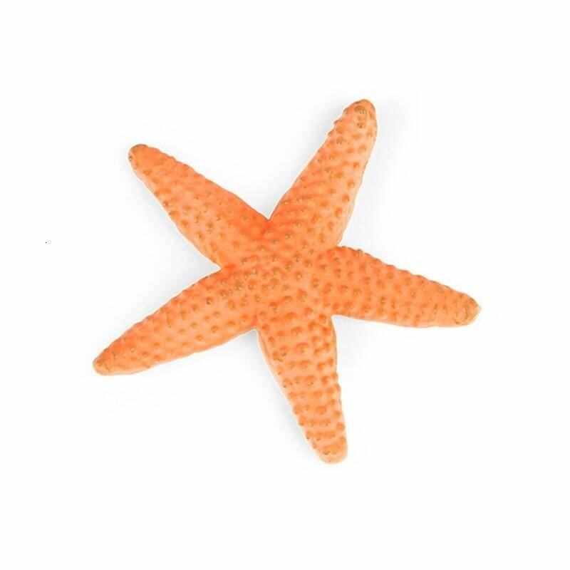 Модели рыб для декора дома и обучения, - 33