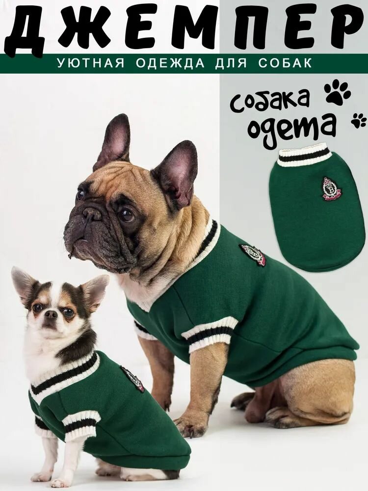 Одежда для животных