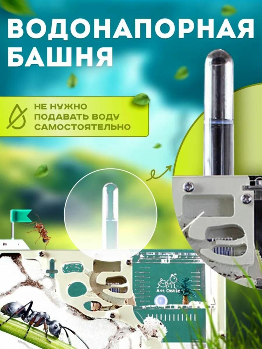 Муравьиная ферма — фото 1