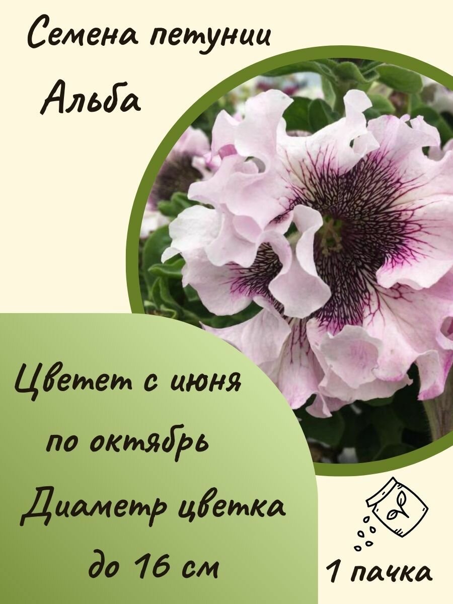 Петуния Альба, 10 шт. семян