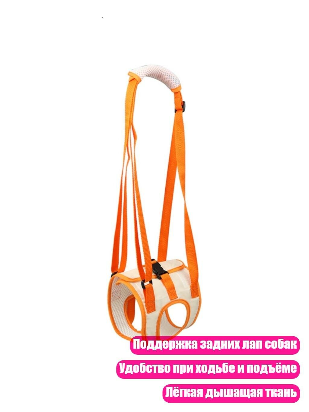 Пояс-поддержка для задних лап собак, S