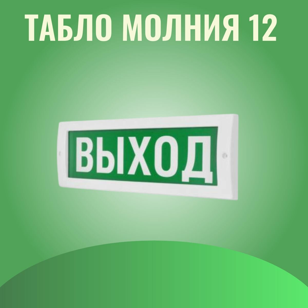 Молния-12 Выход оповещатель охранно-пожарный световой (табло)