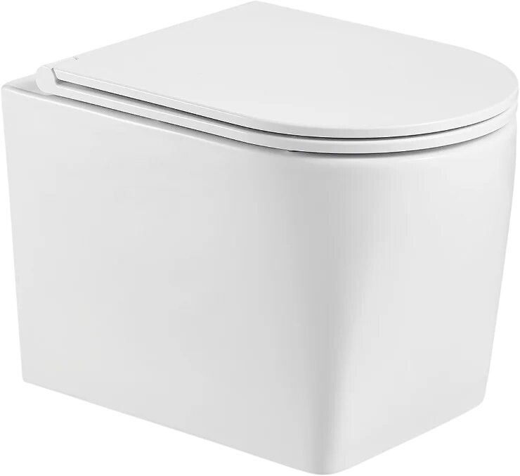 Унитаз подвесной Weltwasser WW SK Nesenbach 004 GL-WT с микролифтом, безободковый, без бачка, антивсплеск, фаянсовый, белый, глянцевый, овальный, сиденье для унитаза в комплекте