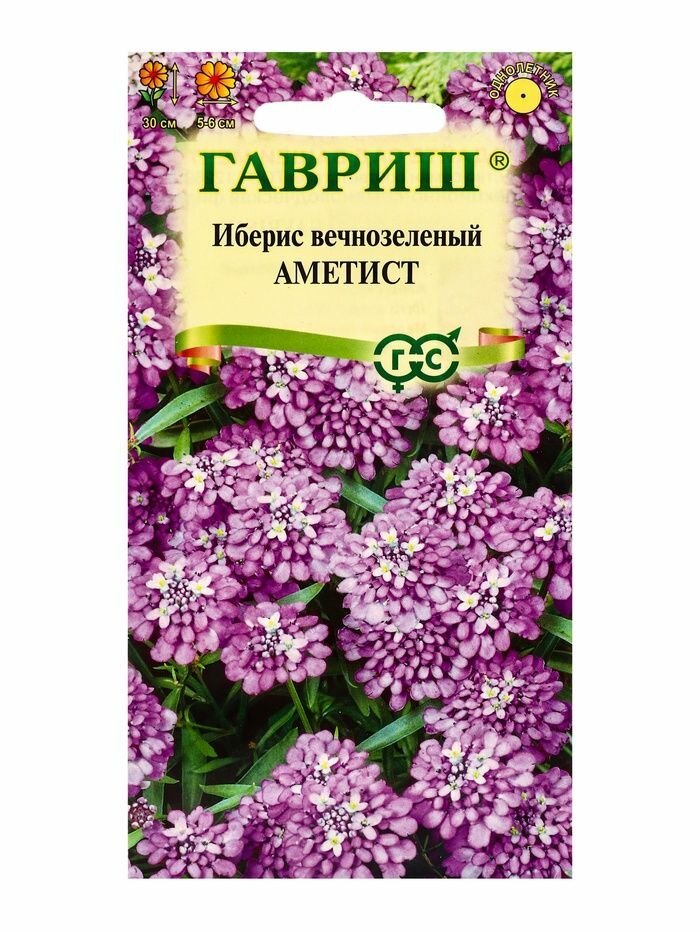 Семена цветов Иберис Аметист 0,1 г DH