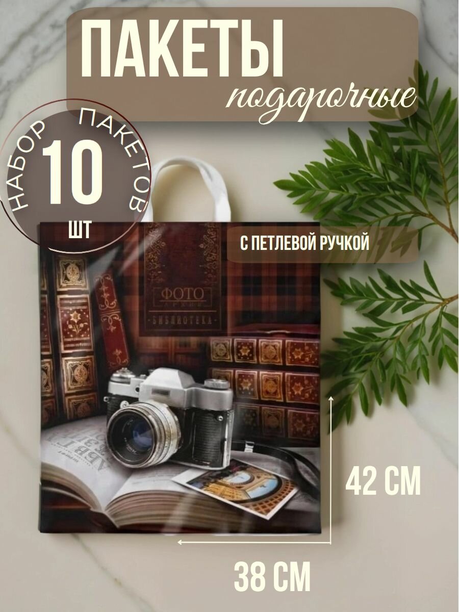 Пакеты подарочные полиэтиленовые 38х42 см Библиотека 40 мкм 10 шт Пакет с петлевой ручкой
