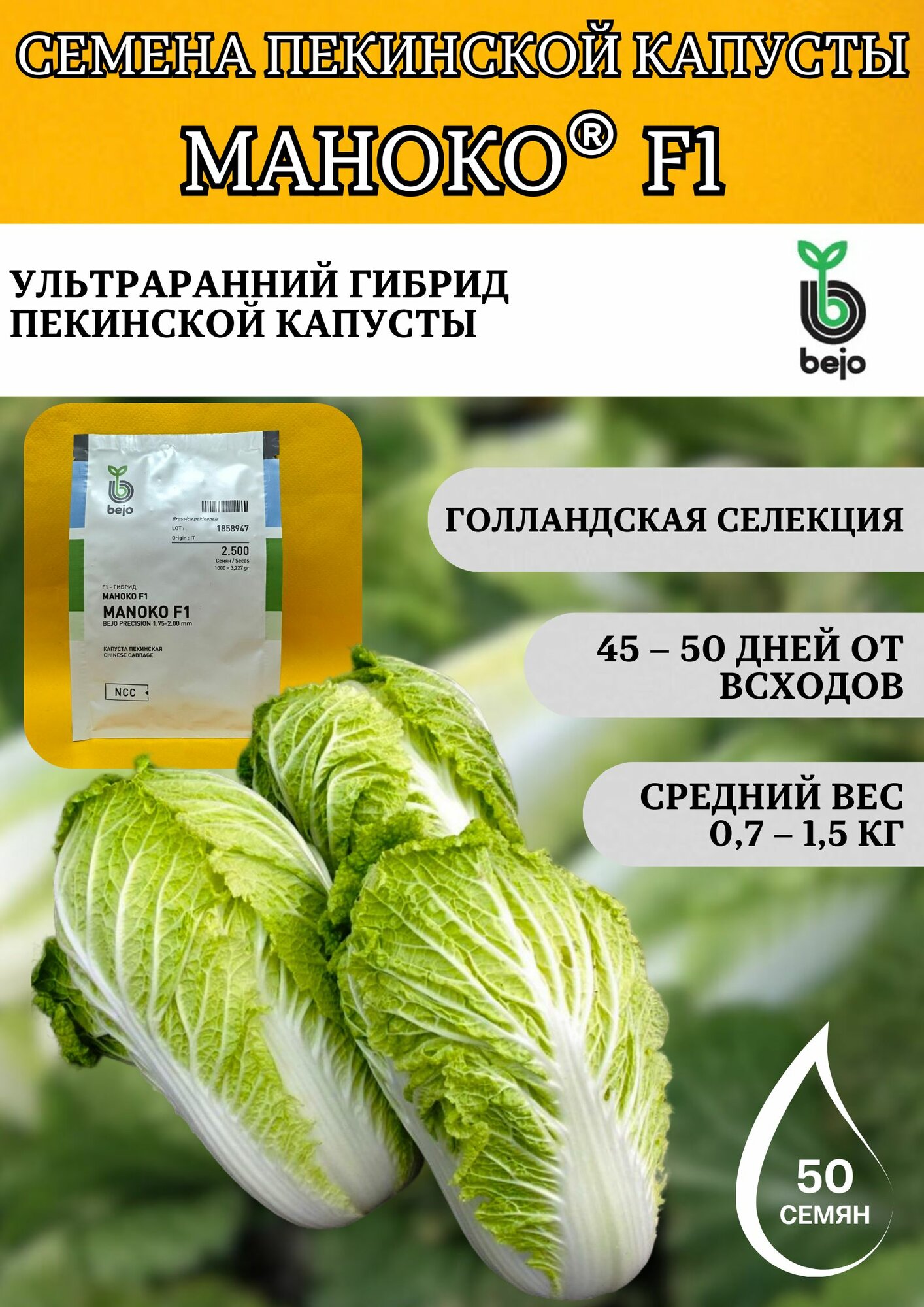 Капуста пекинская Маноко F1 50 семян Bejo, профессиональные семена