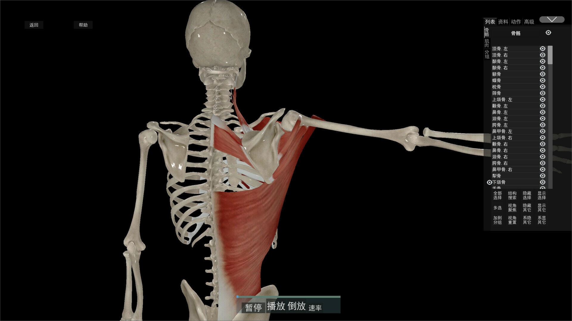 Kinetic Anatomy 3D PC Steam Ключ | купить цифровой ключ для активации в России