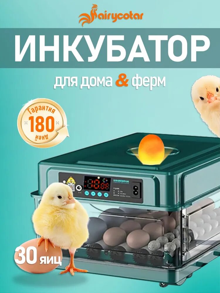 G30 Hairycotar Инкубатор для яиц автоматический, 30 яиц, 12 утиных/индюшиных, 60 перепелиных яиц, Примечание на русском языке 220B/12B
