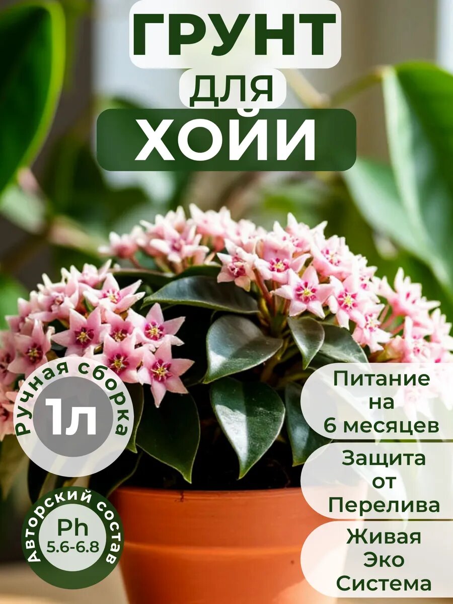 Готовый авторский грунт для Хойи, премиум 1 литр