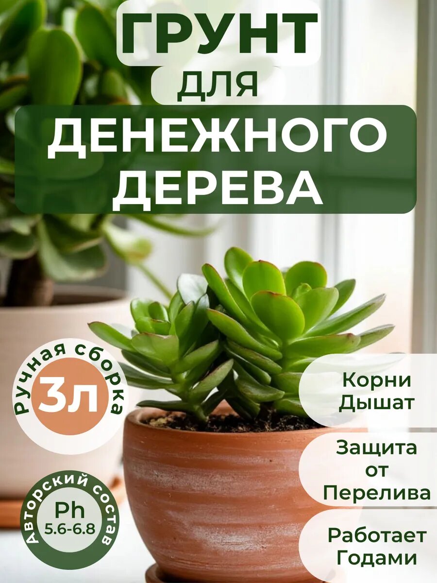 Готовый авторский грунт для Денежного дерева, премиум 3 л