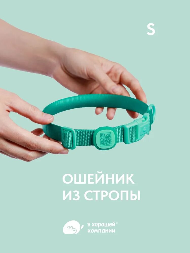 Ошейник с адресником для собак мелких пород IN GOOD COMPANY В хорошей компании (S / Грасс / стропа)
