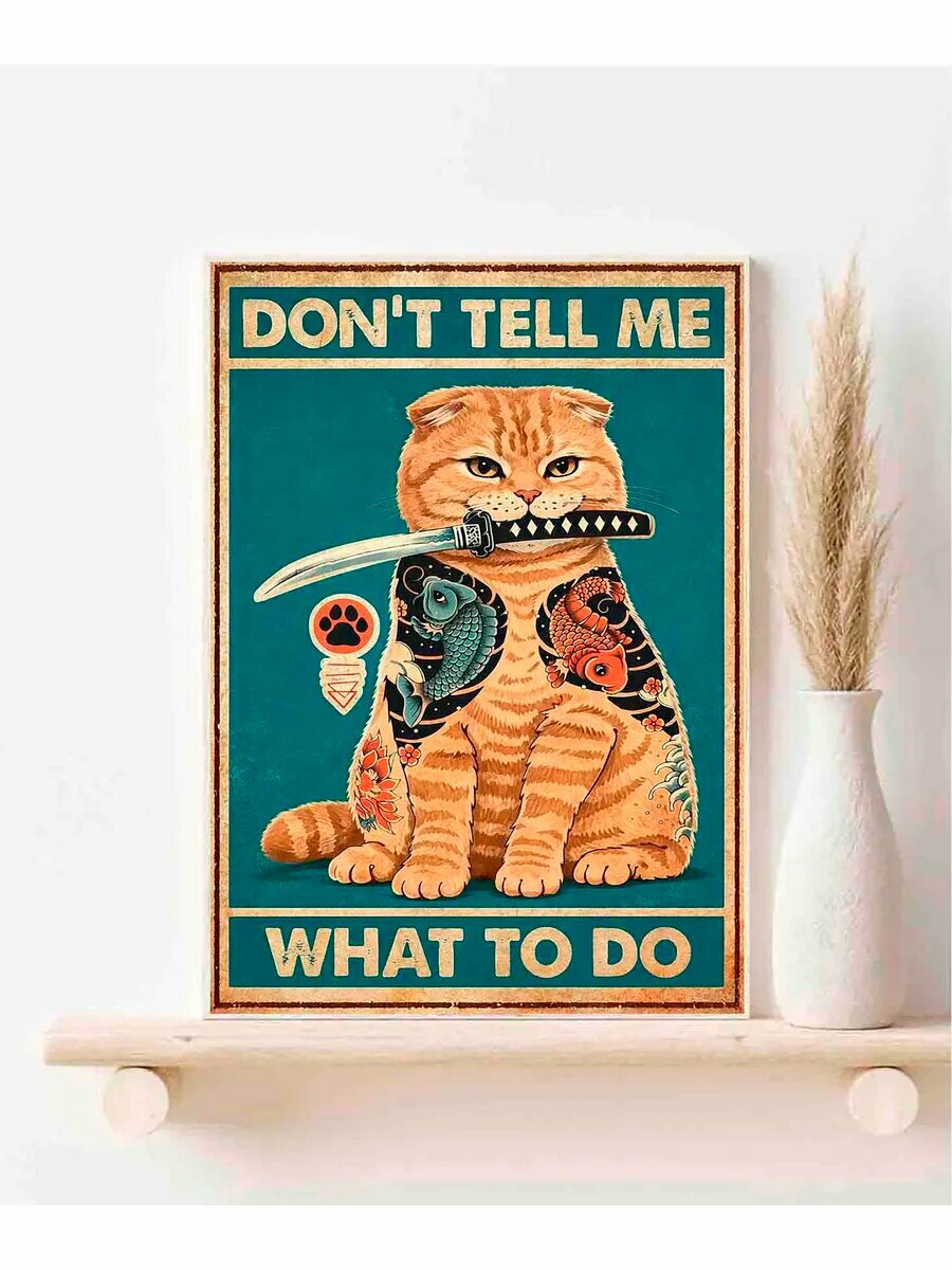Шотландская вислоухая кошка, Don't Tell Me What To Do, Плак