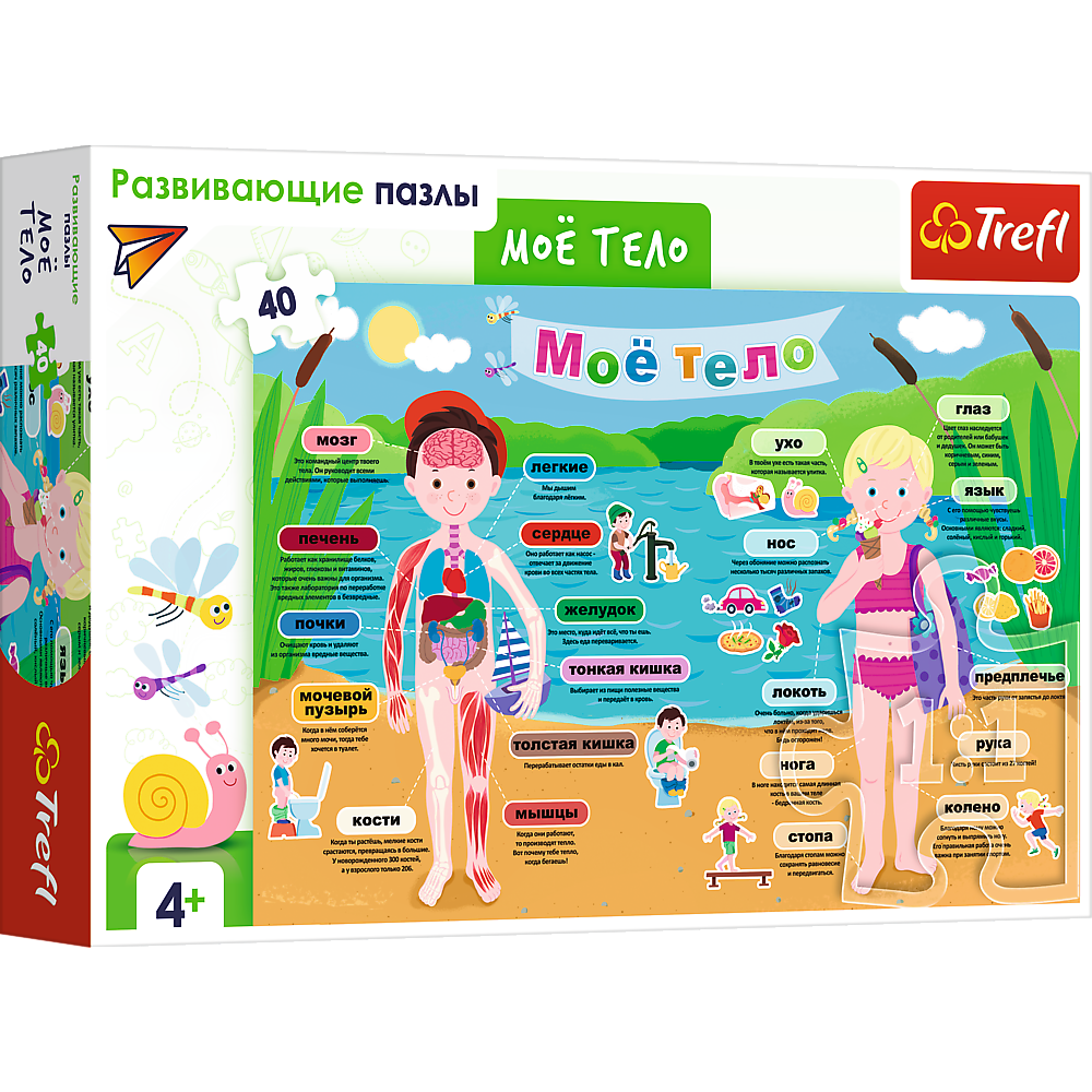 Пазлы развивающие 40 деталей "Мое тело" , Trefl