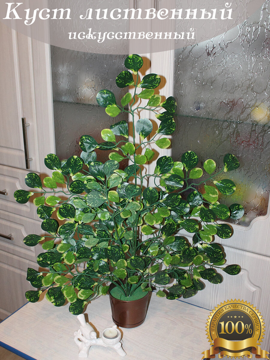 Искусственное растение Holodilova "Фикус", высота 12см, длина 70см, ширина 50см