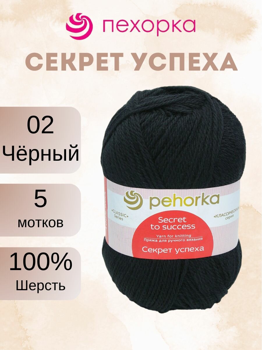 Пряжа Пехорка Секрет успеха 02 черный (100г/250м, упаковка 5 мотков)