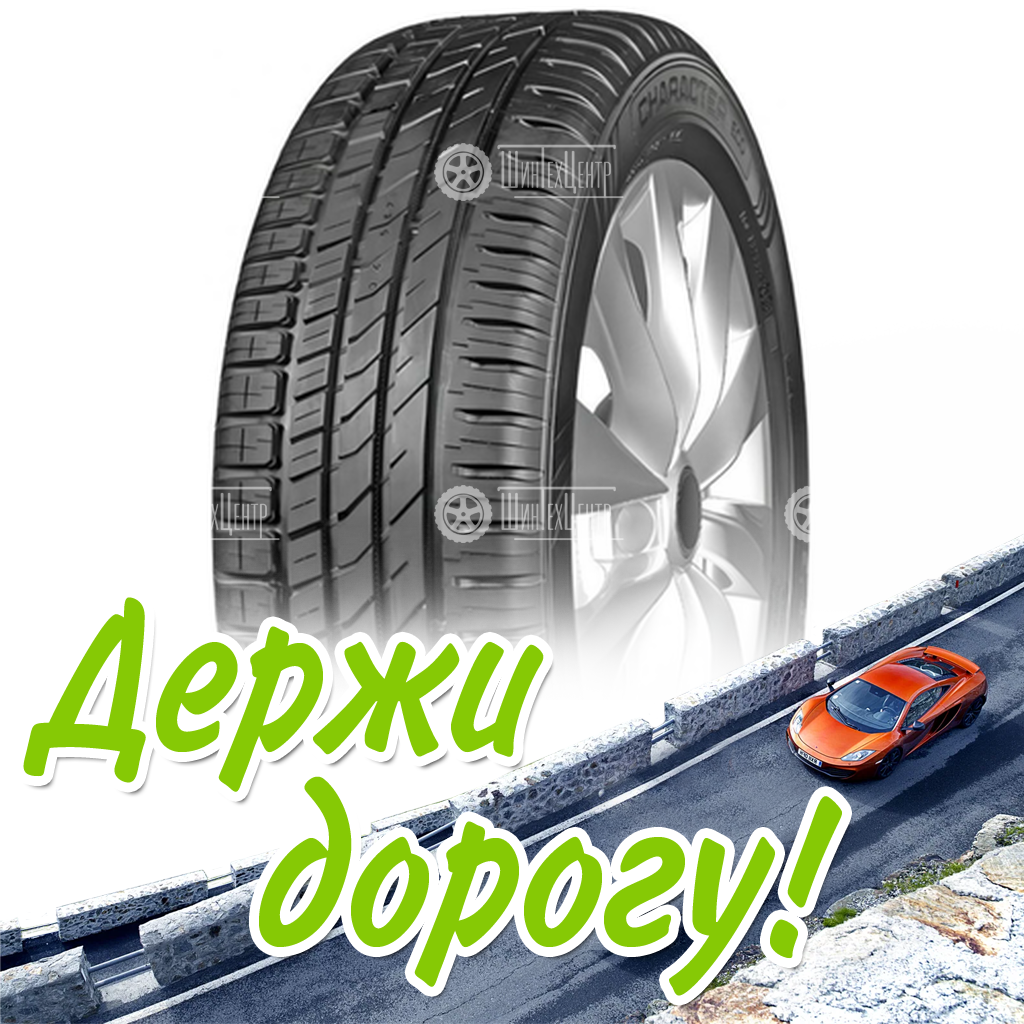 Шина 205/55R16 91H Ikon Tyres Character Eco Летняя для легковых автомобилей и кроссоверов