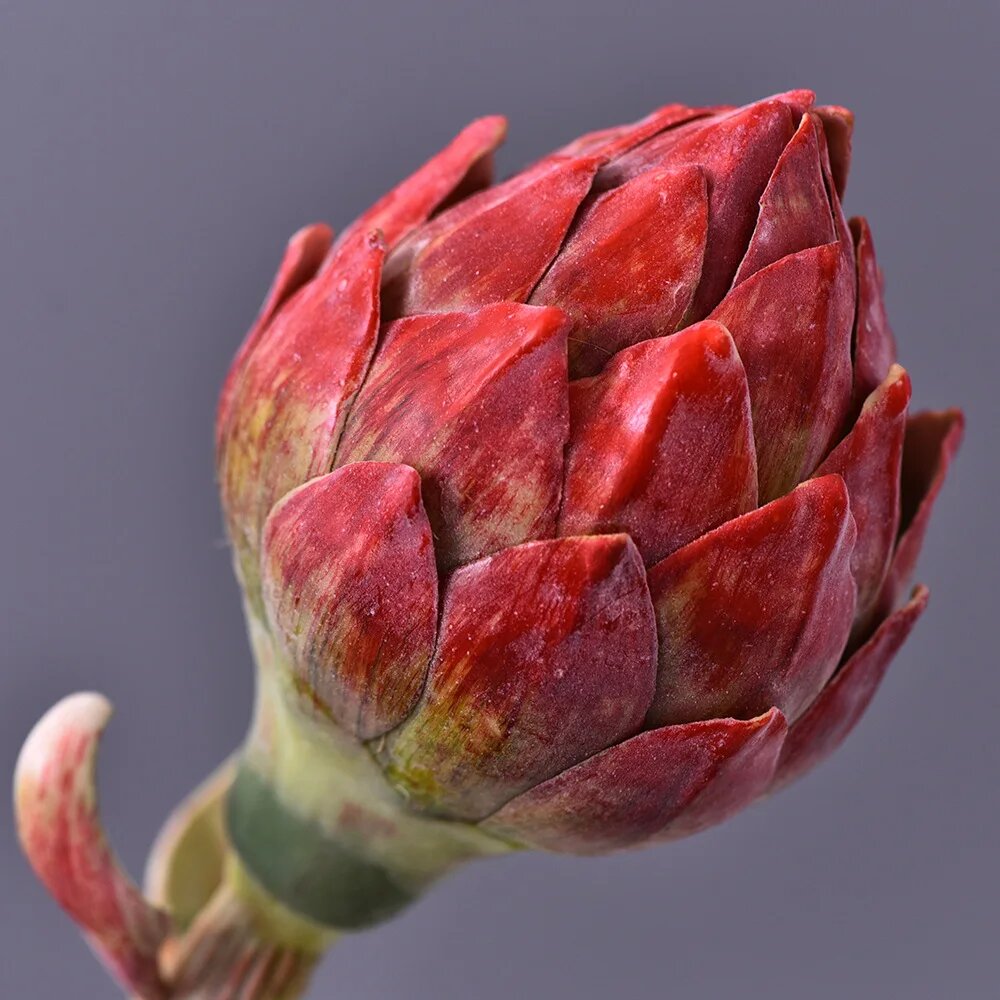 Искусственный артишок Htmeing для декора red