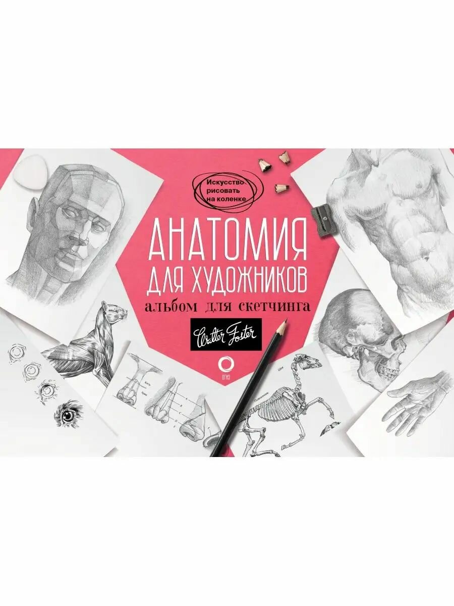 Анатомия для художников. Альбом для