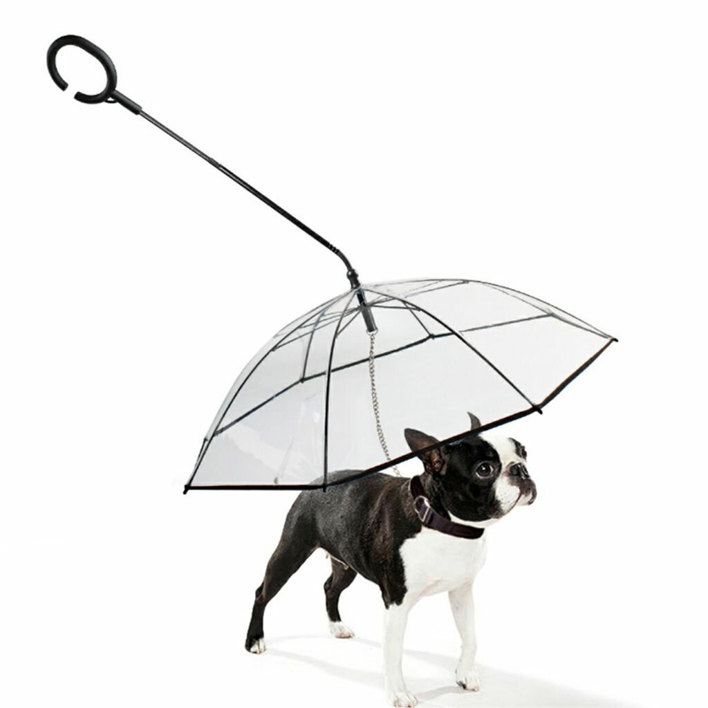 Зонт для собак с поводком