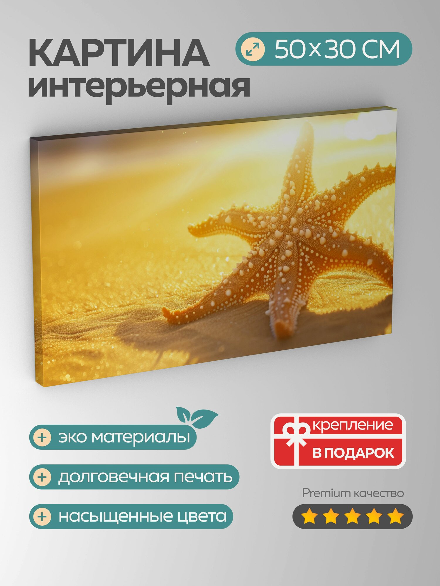 Картина на холсте интерьерная 50х30 см, фотография, морская звезда, воздух, ветерок, пляж, свет, замысловатые детали