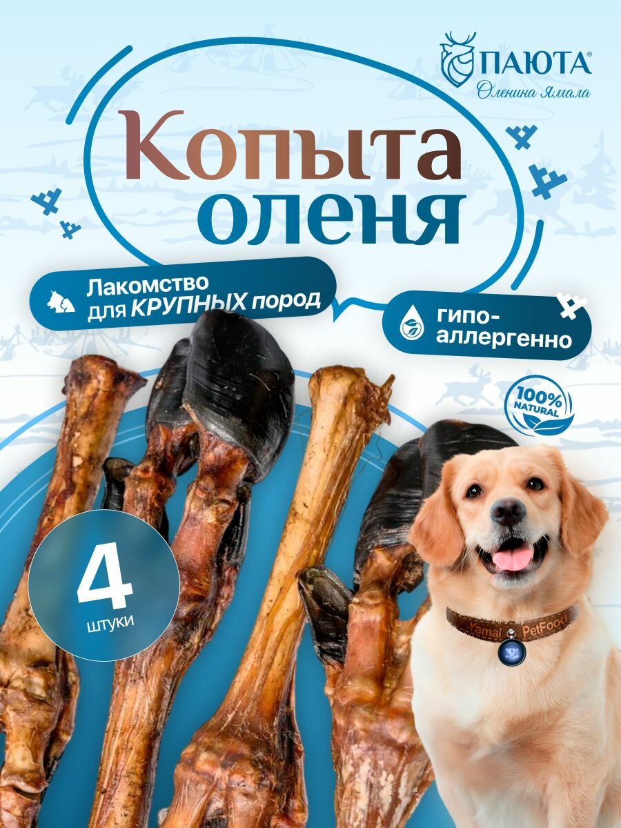 Лакомство для собак Копыто оленя для крупных пород 4 штуки, Паюта