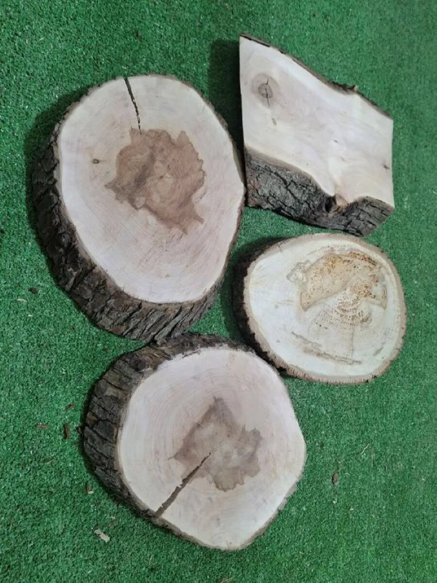 Спил срез слэб дерева вишня (270-220-240 мм)