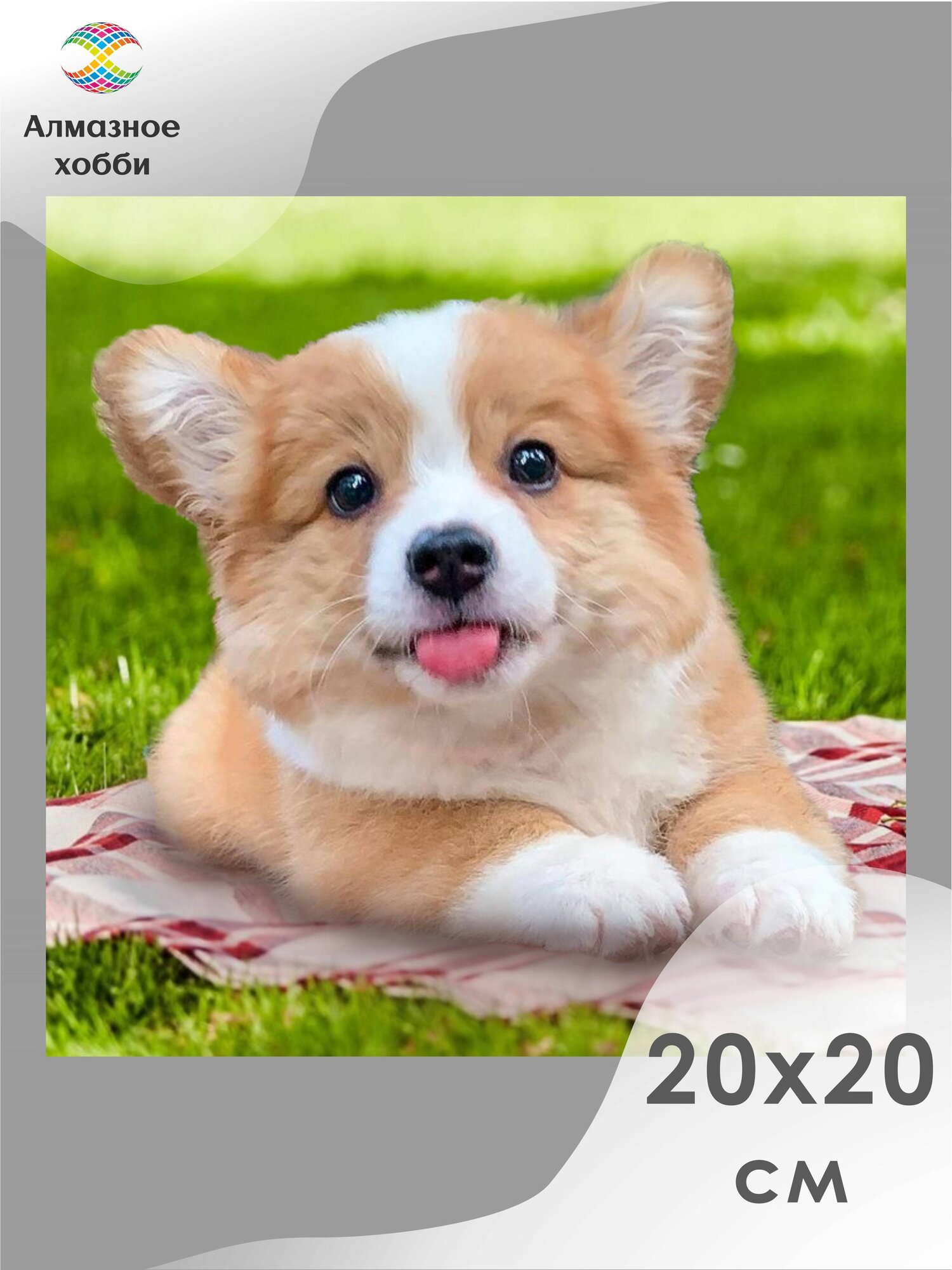 Алмазная мозаика Озорной корги 20х20 без подрамника