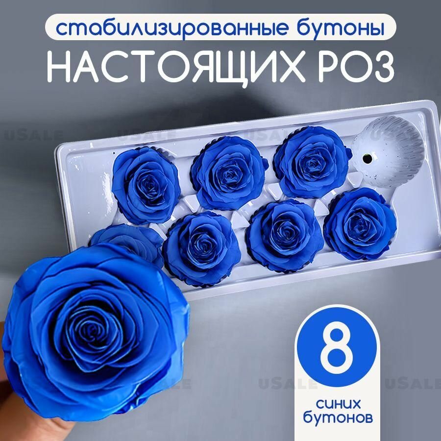 Стабилизированные бутоны настоящих роз 8шт сухоцветы долговечные цветы