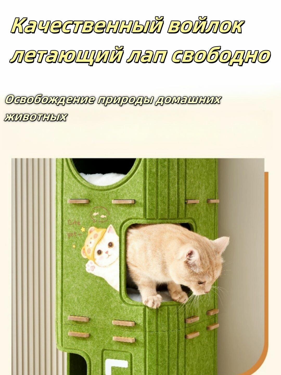 Когтеточка — фото 1