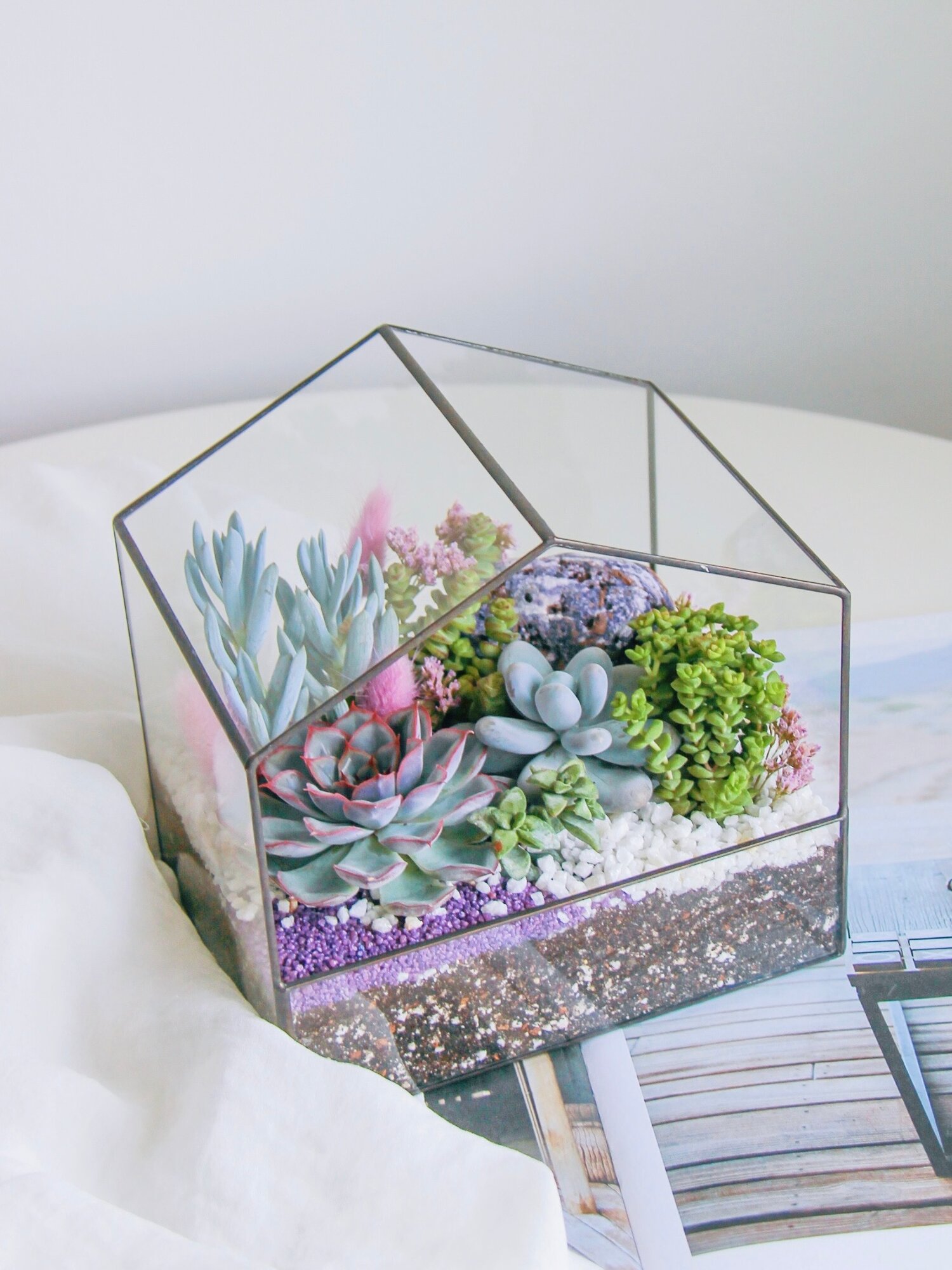 Суккуленты в стеклянном флорариум дом, высота 17см