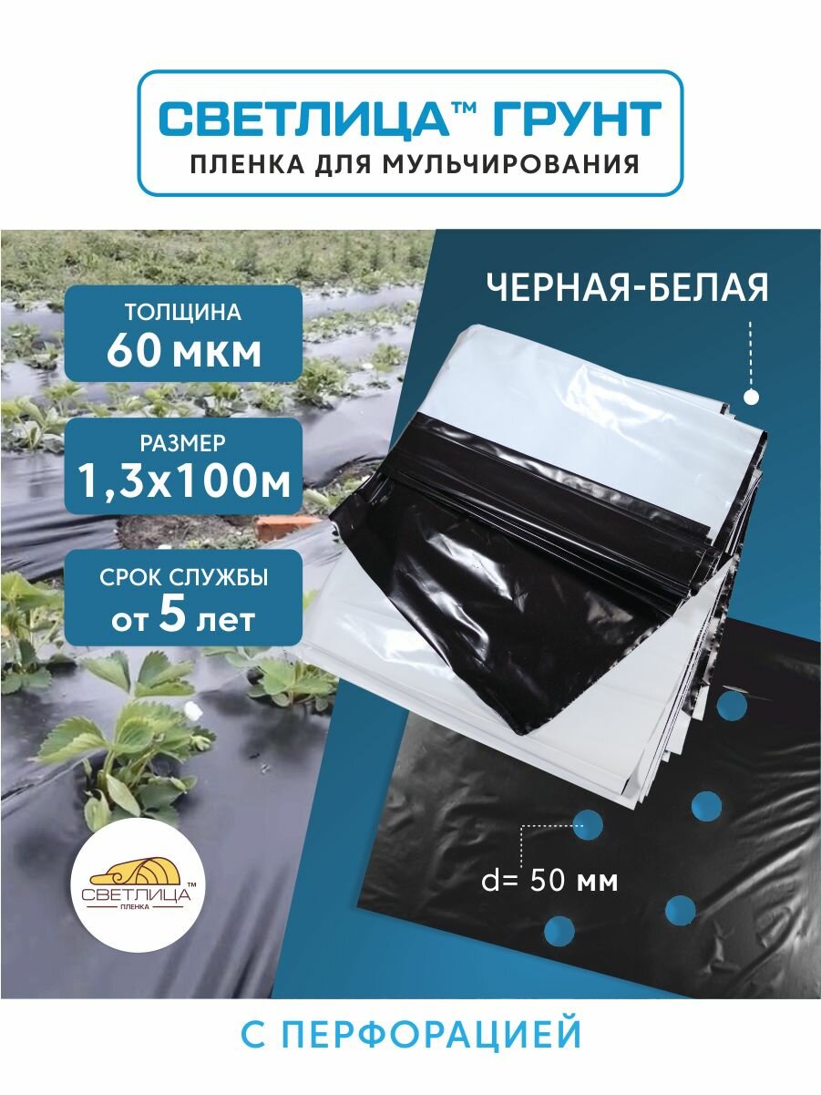 Пленка для мульчирования с перфорацией светлица грунт, 1,3x100, 60 мкм, черно-белая