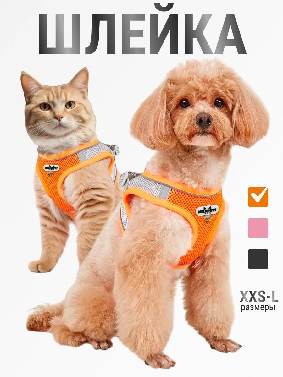 Шлейка для собак мелких пород и кошек , XS