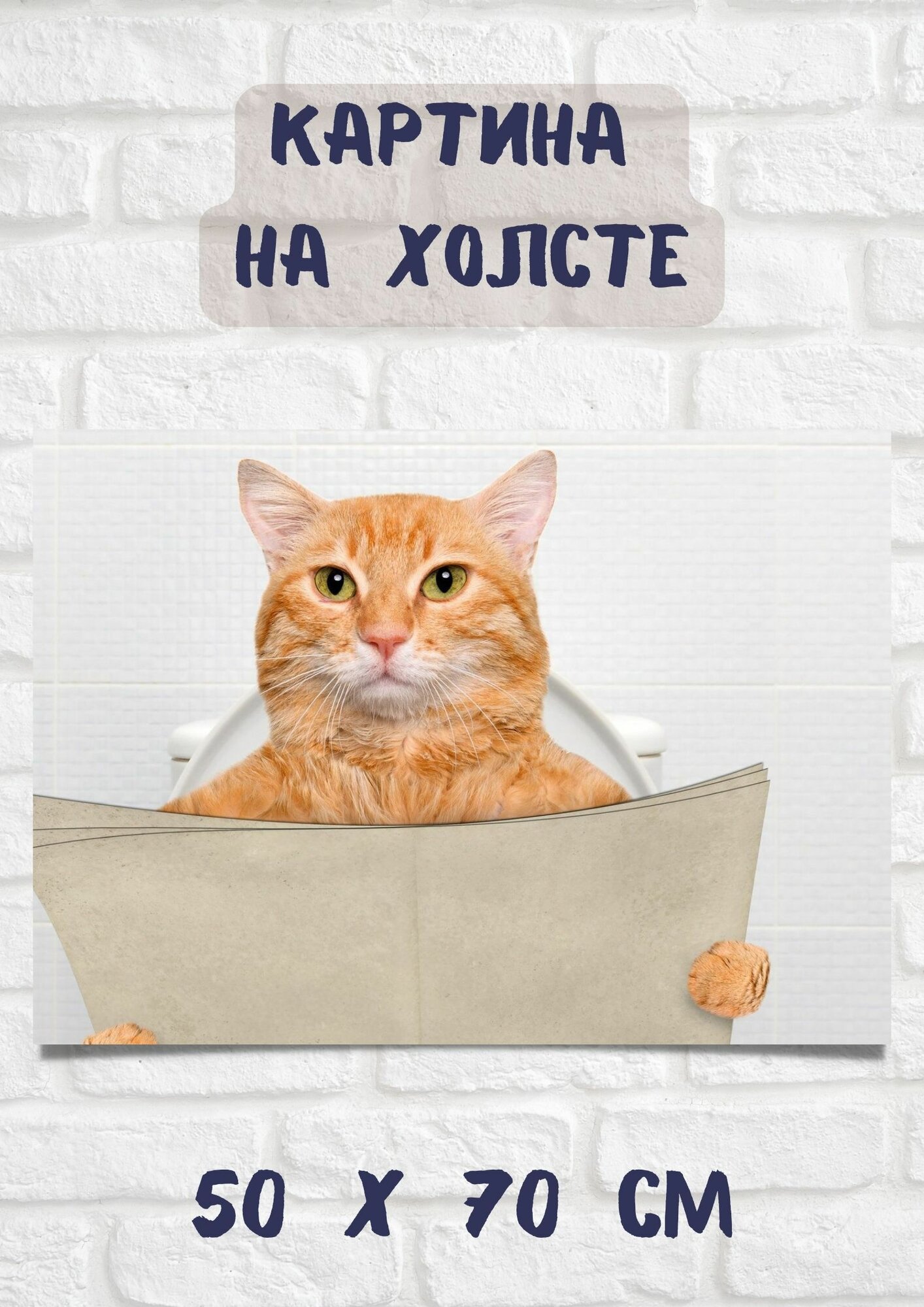 Картина Кот сидит на унитазе в туалете и смотрит