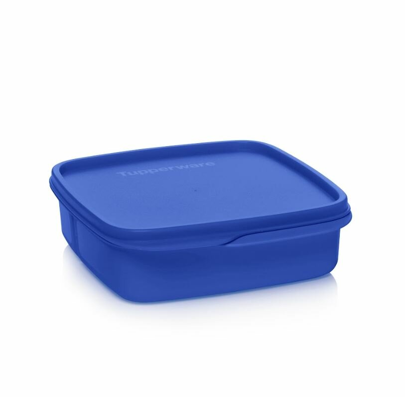 Tupperware Контейнер «Школьник» синий 550 мл, завтрак и перекус с собой