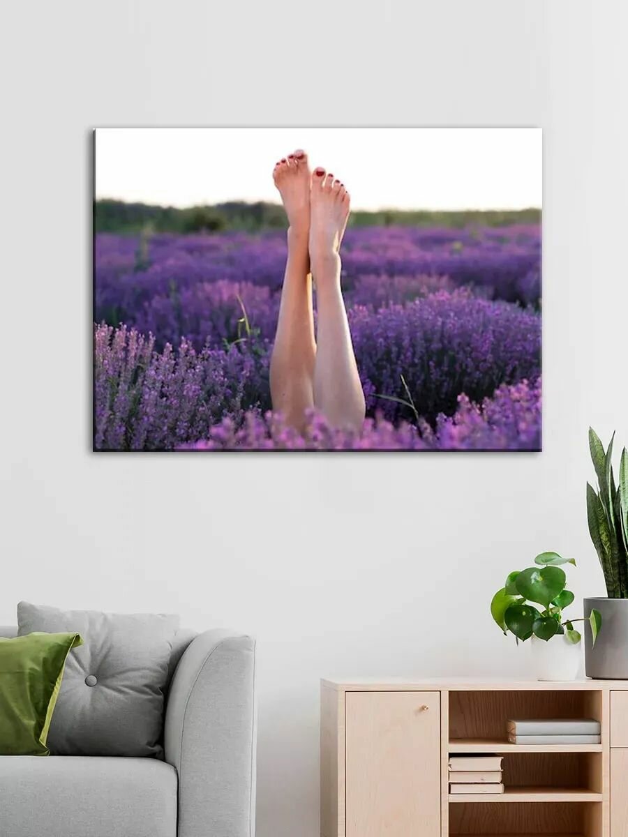Картина на стену "Лавандовые поля", 40х30 см