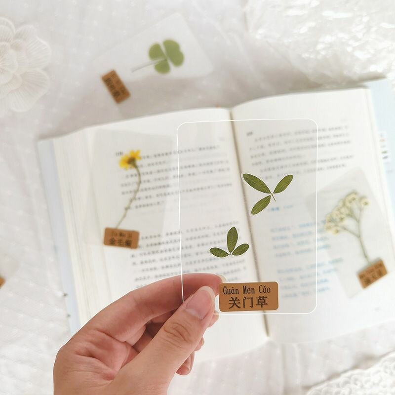 Настоящий четырехлистный клевер, амулет, приносит удачу, отгоняет невезение и сохраняет его сухим и постоянным.