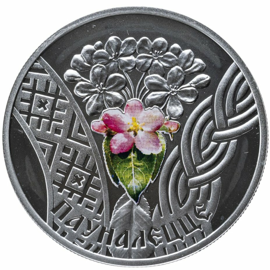 Беларусь 20 рублей 2010 "Совершеннолетие" в футляре, Серебро 925, в сохранности BUNC