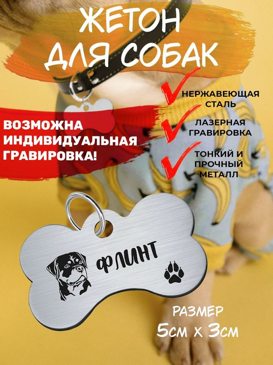 Брелок для собак с гравировкой, нерж. сталь, серебристый, Ротвейлер Флинт