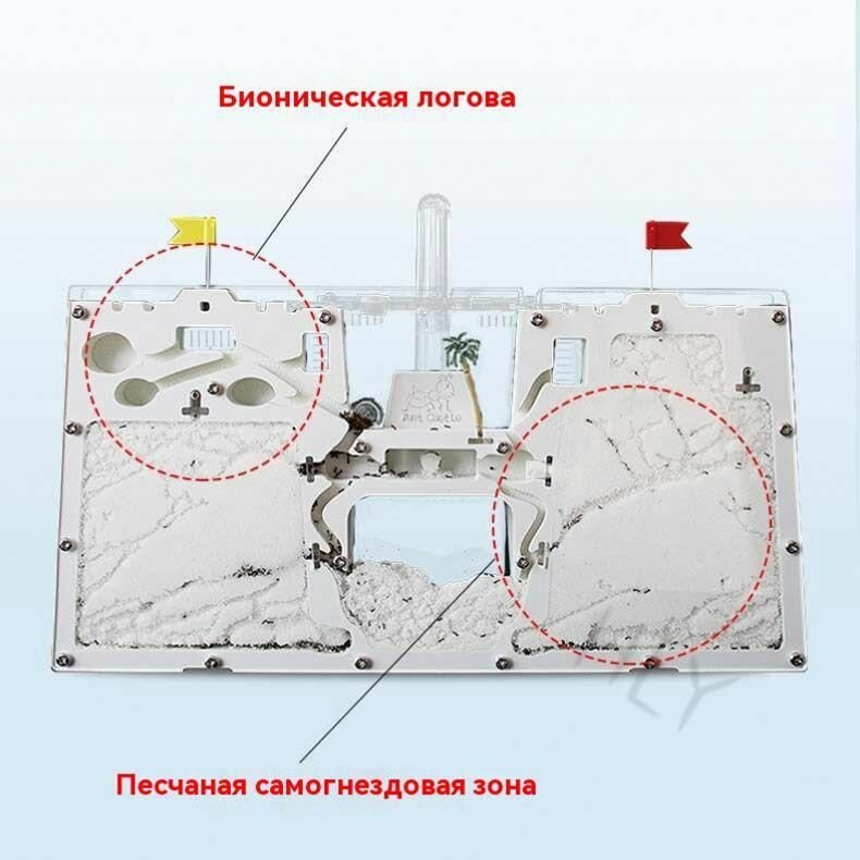 Муравьиная ферма — фото 1